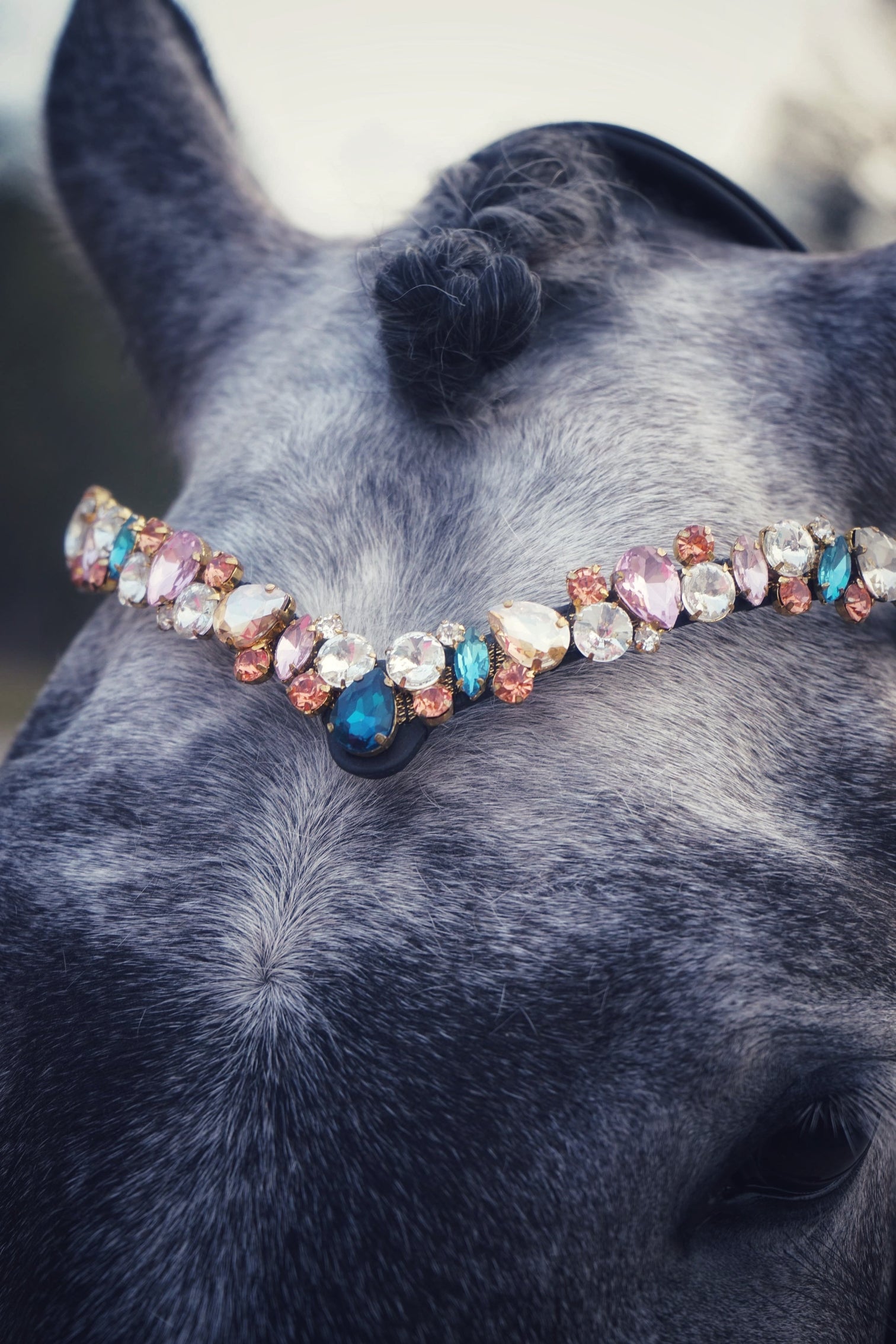 English Leather & Crystal Brow Bands for Horses – Equiluxe Tack