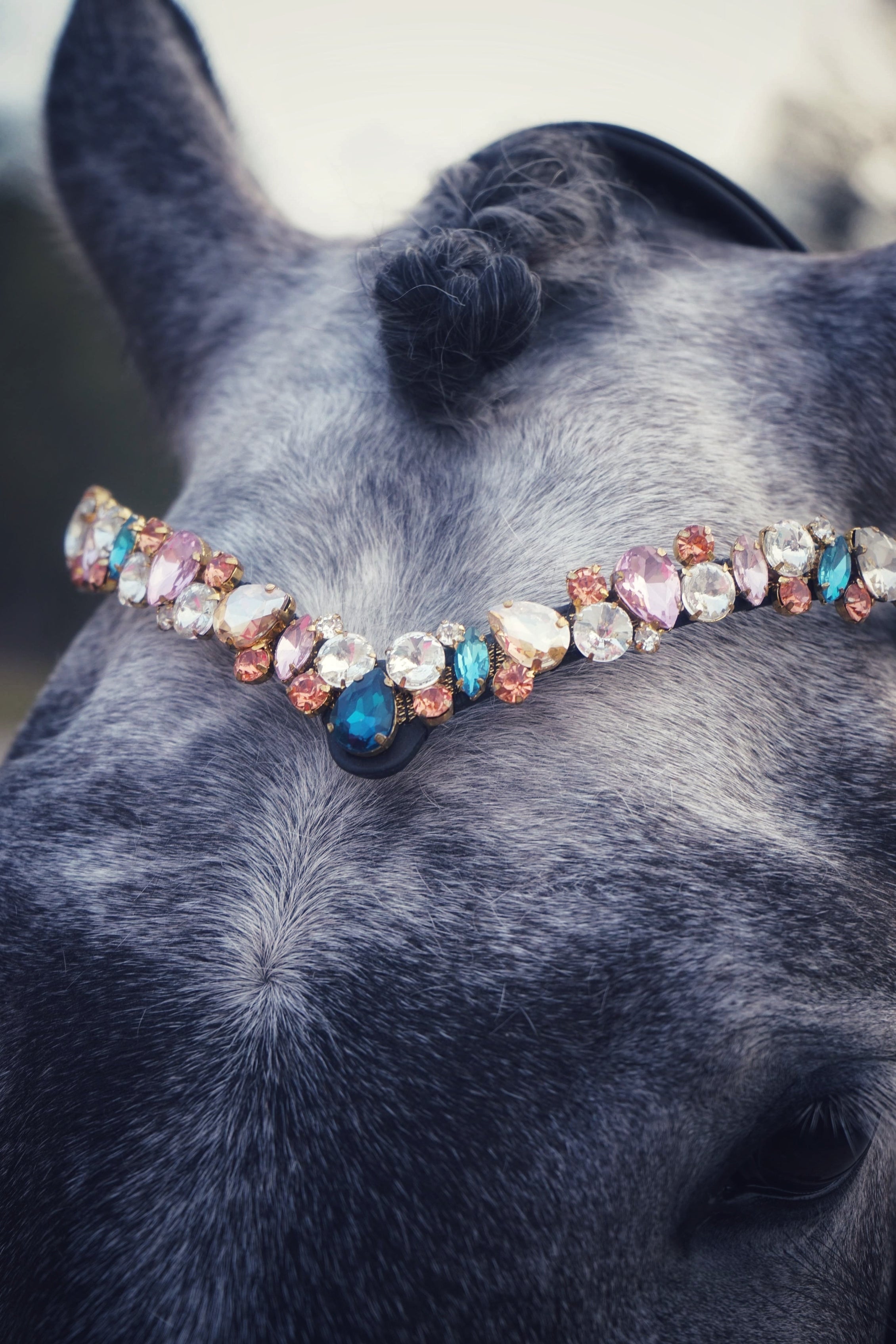 English Leather & Crystal Brow Bands for Horses – Equiluxe Tack