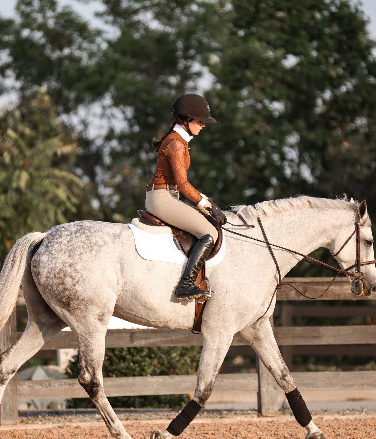 Official Equisite™ Online Store | Shop All Equisite Shirts – Equiluxe Tack