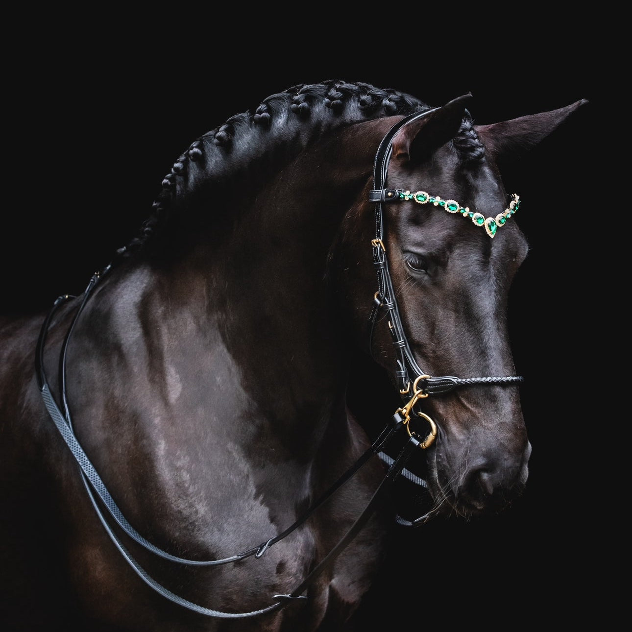 English Bitless Horse Bridles, Hackamores & Multi-Bridles – Equiluxe Tack