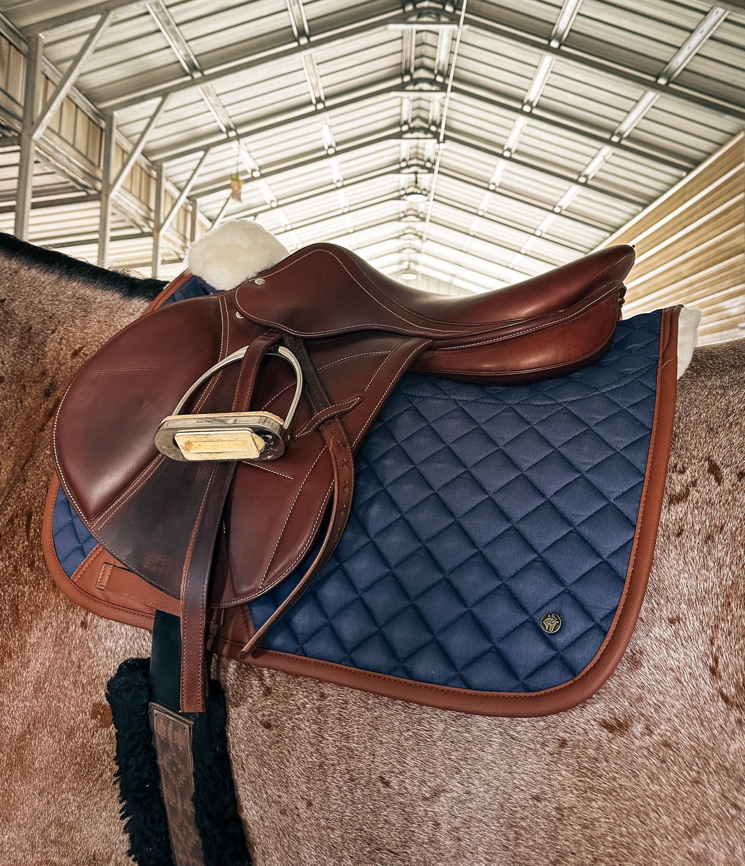 Official Sixteen Cypress™ Online Store | Shop All Products – Equiluxe Tack