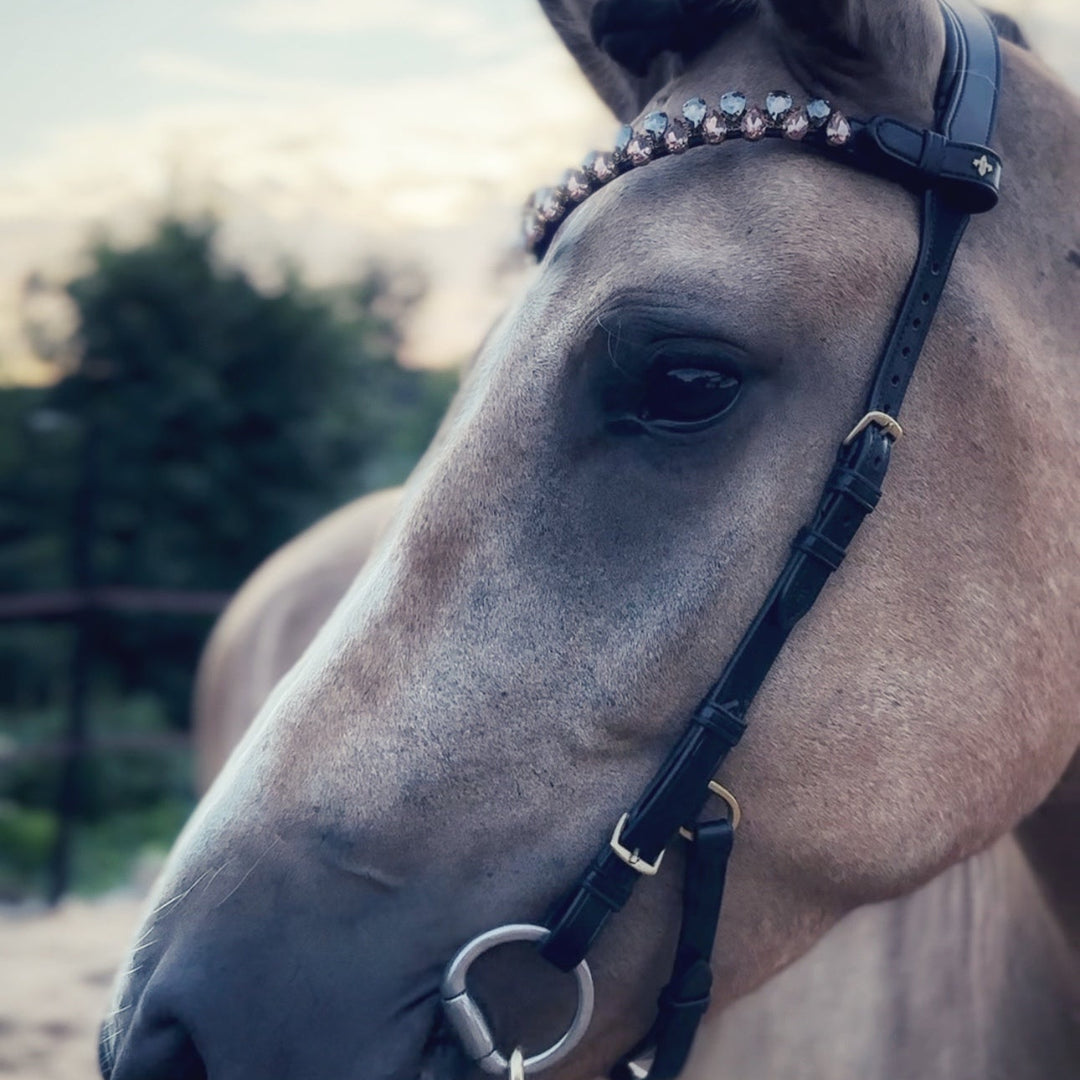 #1 Dressage Bridle Shop | Luxurious & Exclusive | Equiluxe Tack
