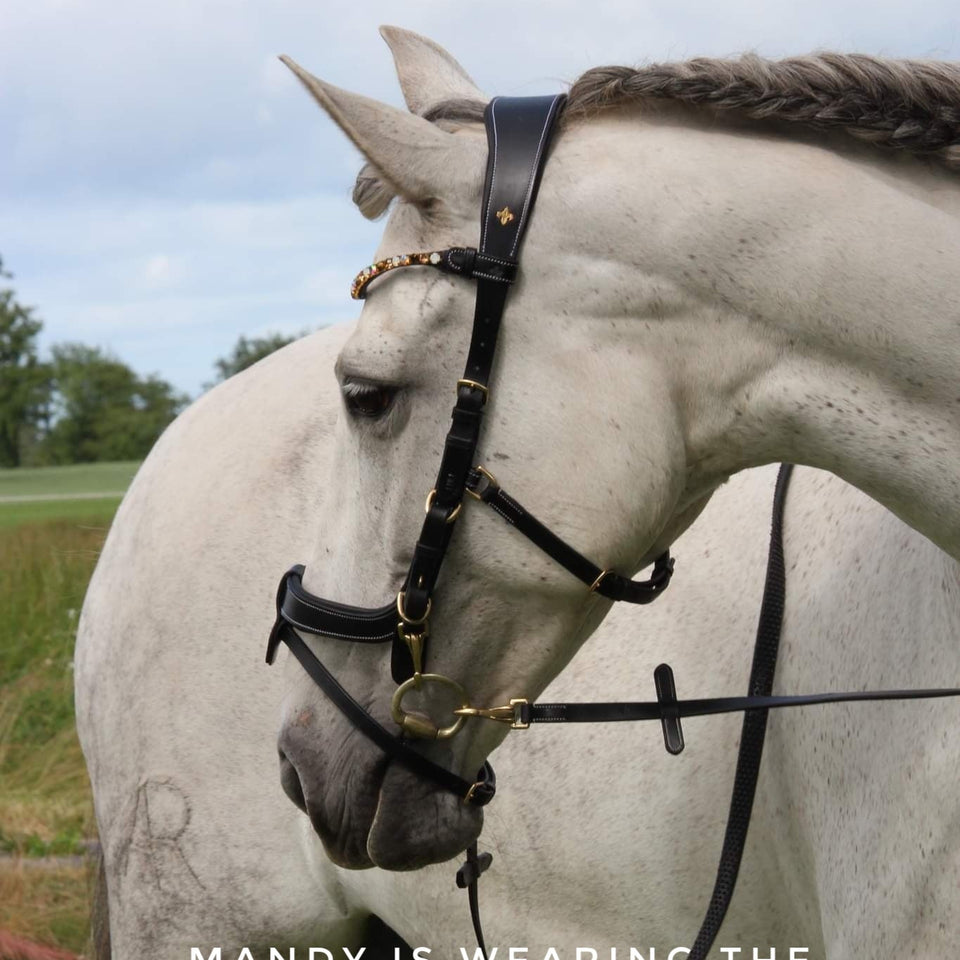 Anatomical English Horse Bridles - Hunter, Jumper, Dressage & Bitless ...